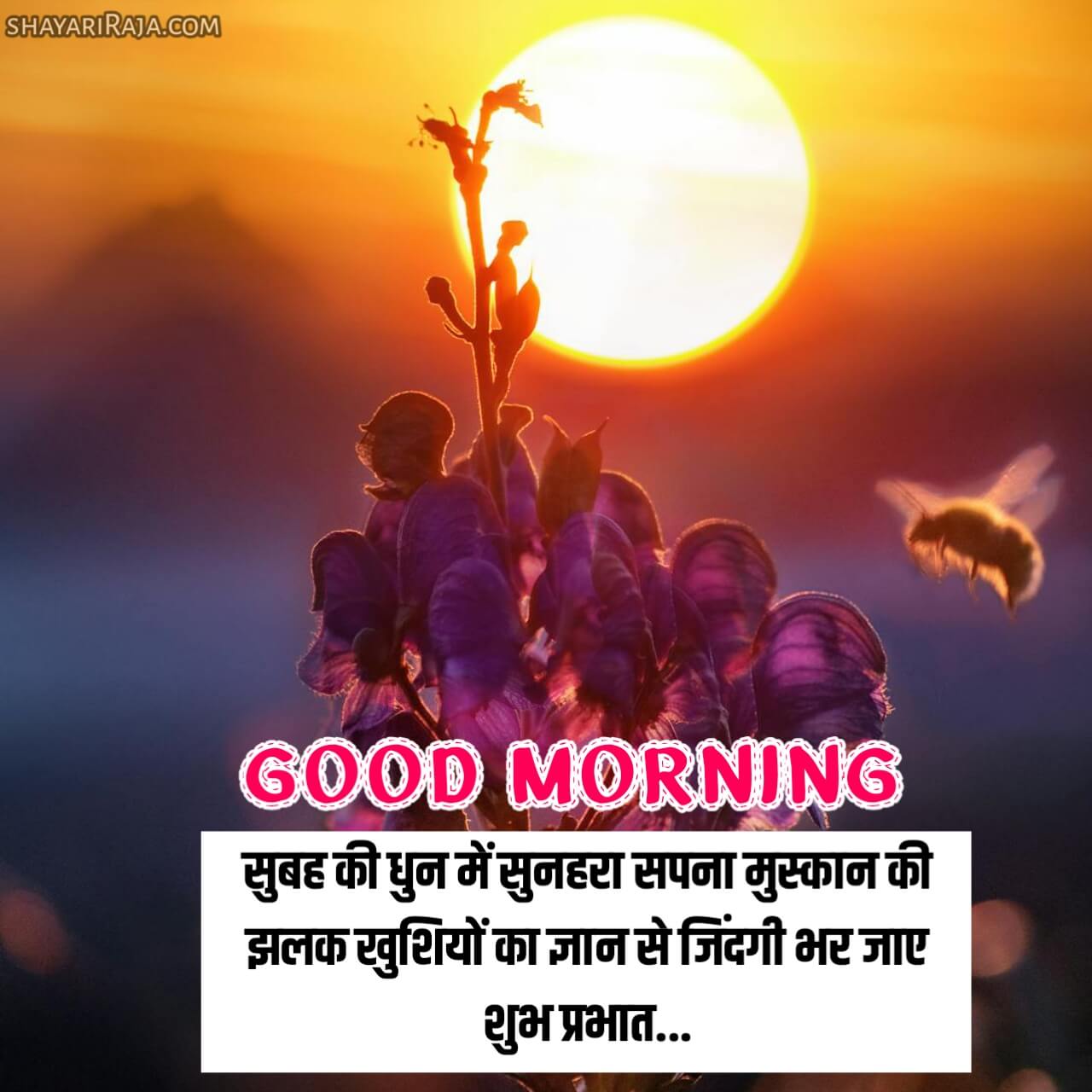 101+ Best Good Morning Shayari in Hindi | गुड मॉर्निंग शायरी