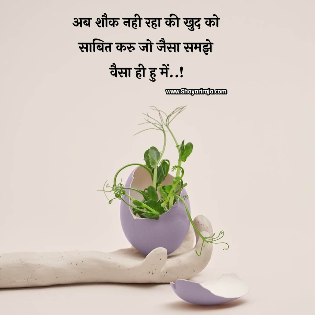 Life Shayari in Hindi | 35+ बेस्ट लाइफ शायरी इन हिंदी