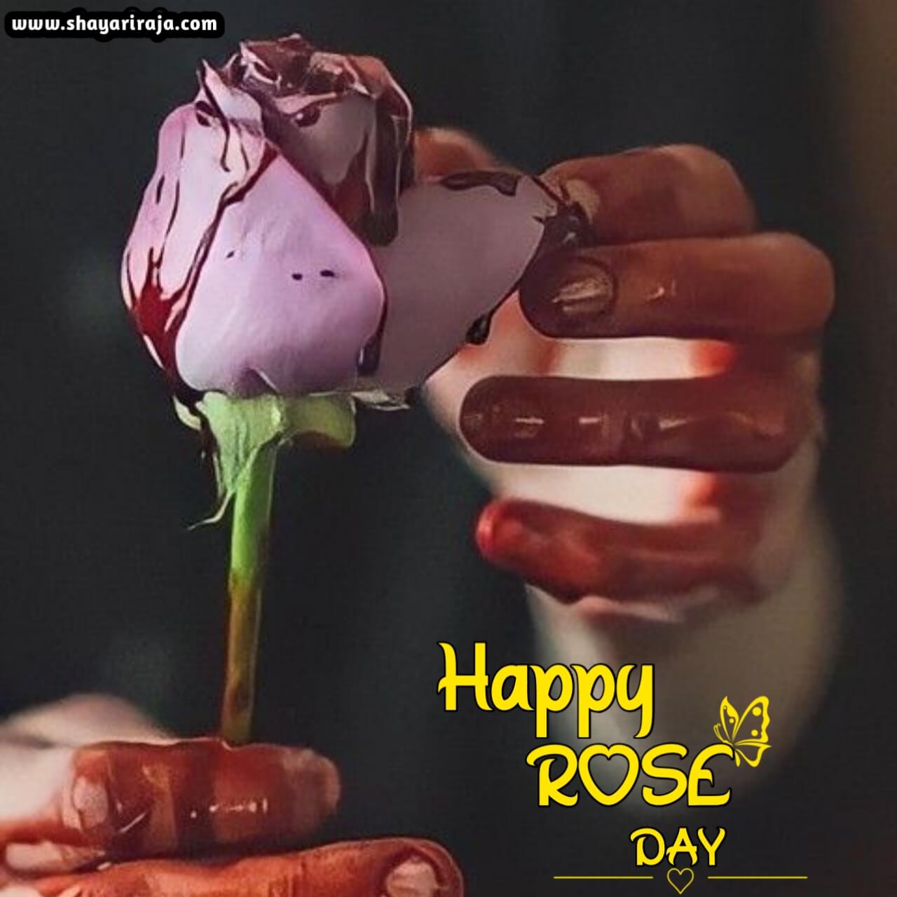 50+ Happy Rose Day Images & Wishes | Beautiful Picture