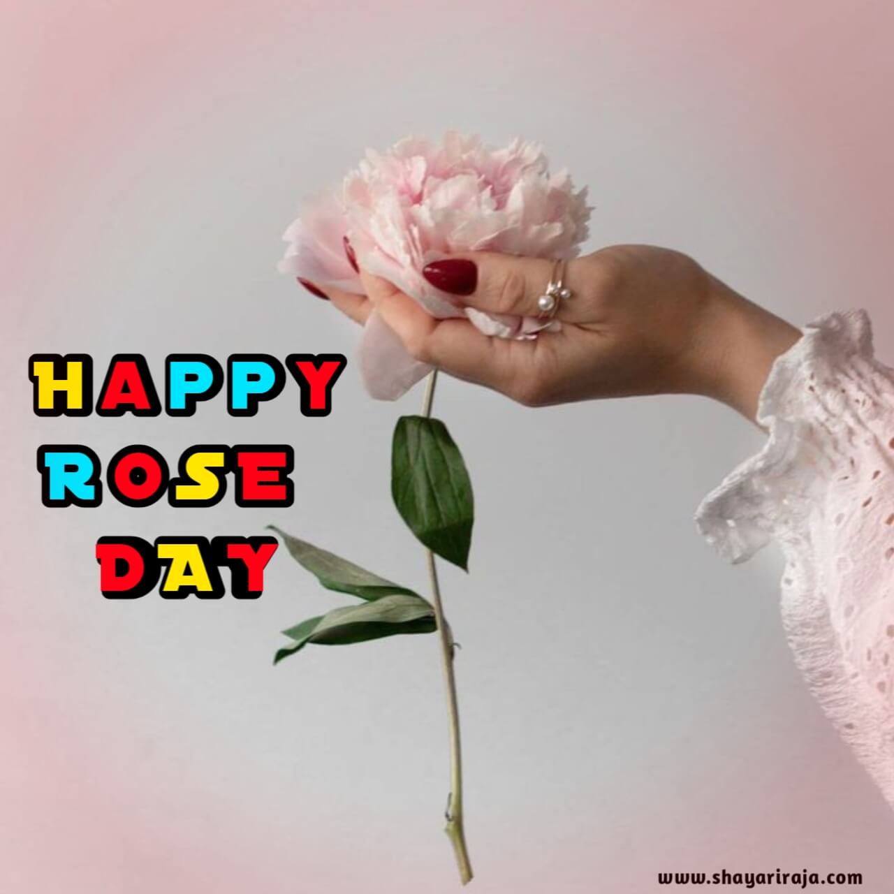 50+ Happy Rose Day Images & Wishes | Beautiful Picture