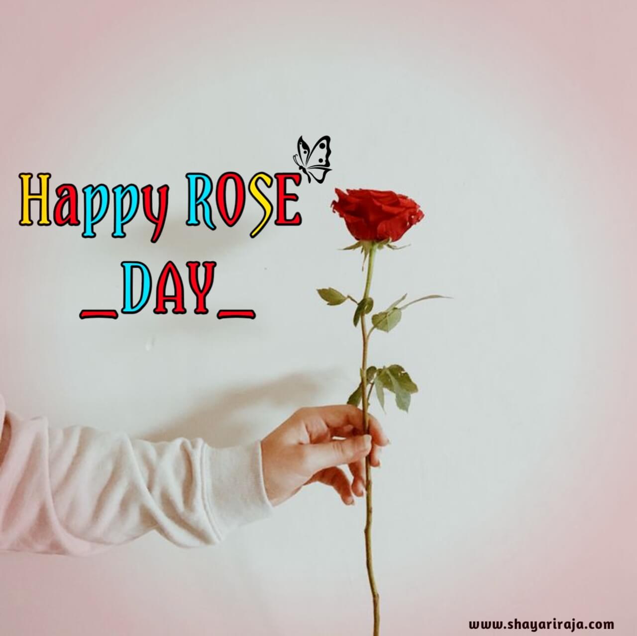 50+ Happy Rose Day Images & Wishes | Beautiful Picture