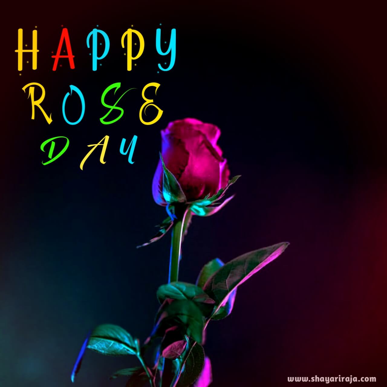 50+ Happy Rose Day Images & Wishes | Beautiful Picture