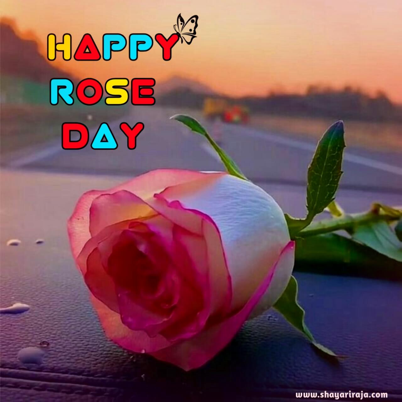 50+ Happy Rose Day Images & Wishes | Beautiful Picture