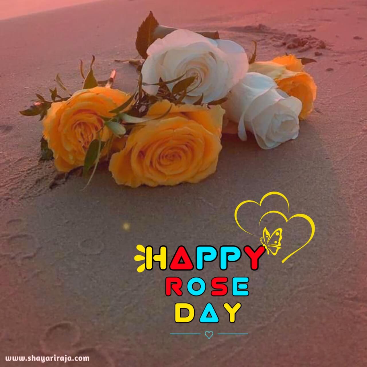 50+ Happy Rose Day Images & Wishes | Beautiful Picture
