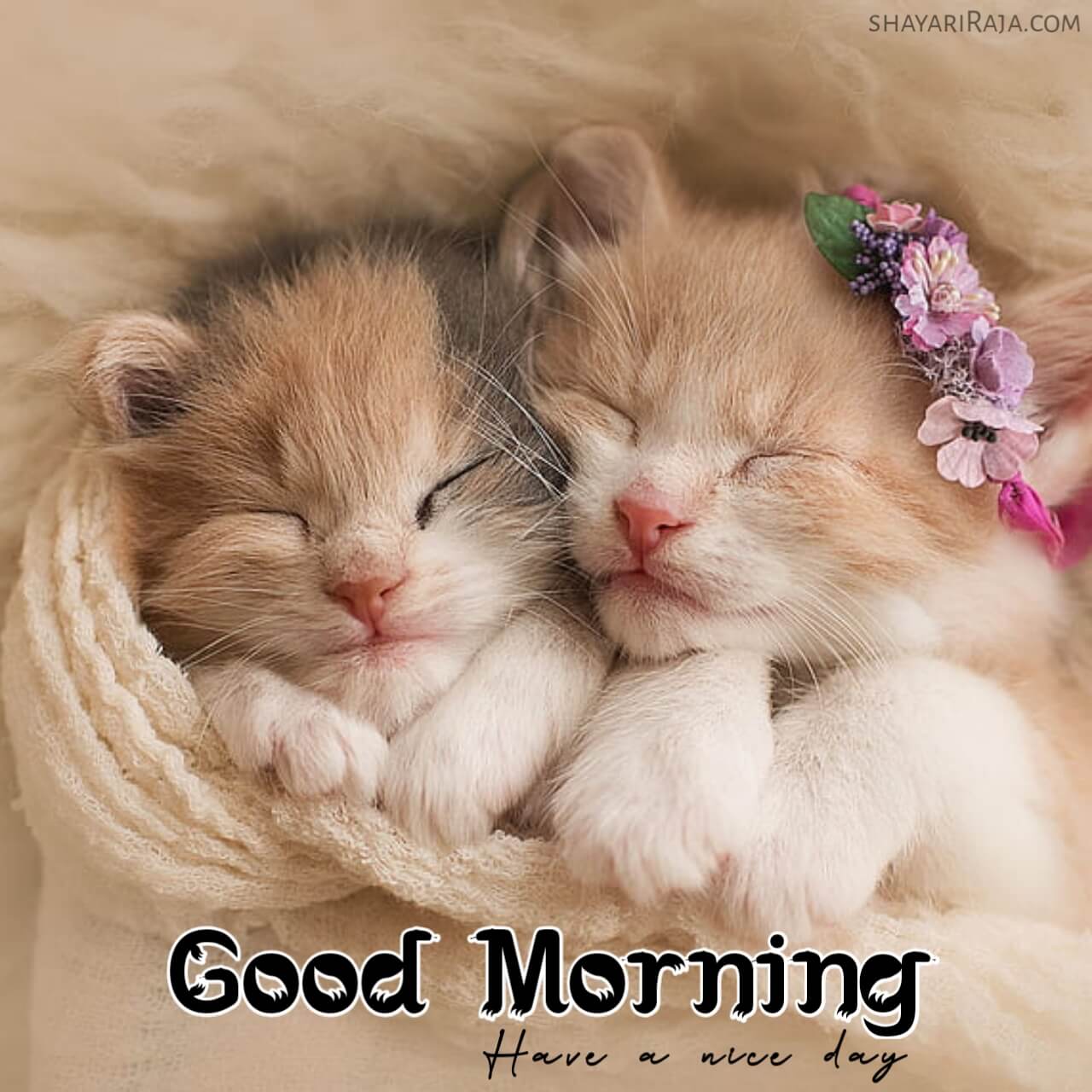 New Good Morning Images | Quotes & Wishes Download Free