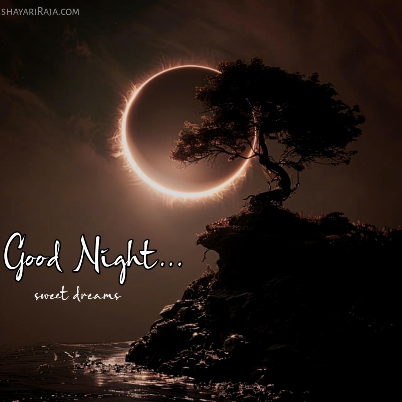 New Good Night Images, Photos & pictures 2024