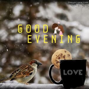 50+ Best Good Evening Images Wishes & Quotes
