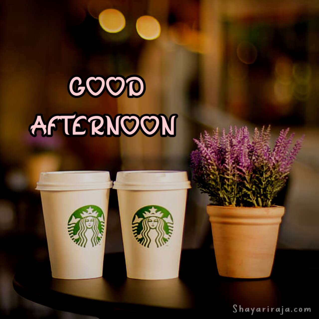 30+ Best Good Afternoon Images