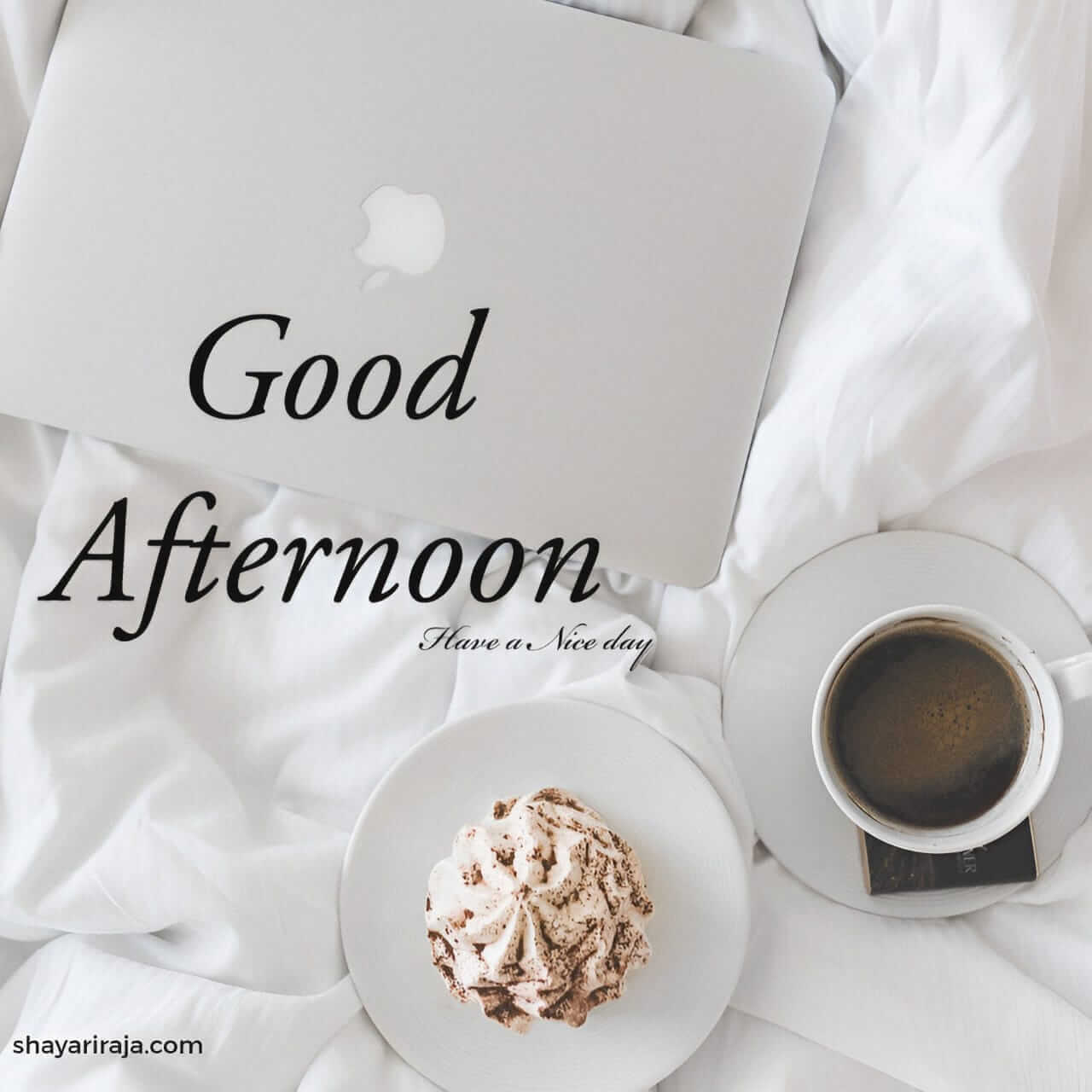 70+ Best Good Afternoon Images, Photos, Quotes - 2023