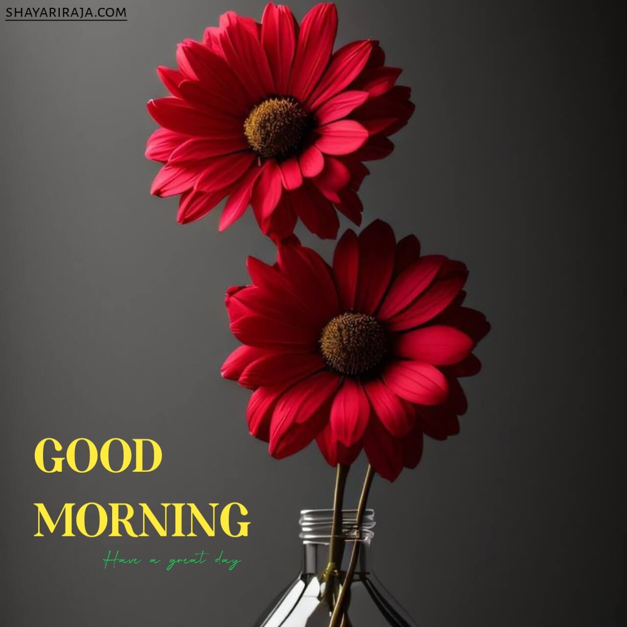 New Good Morning Images | Quotes & Wishes