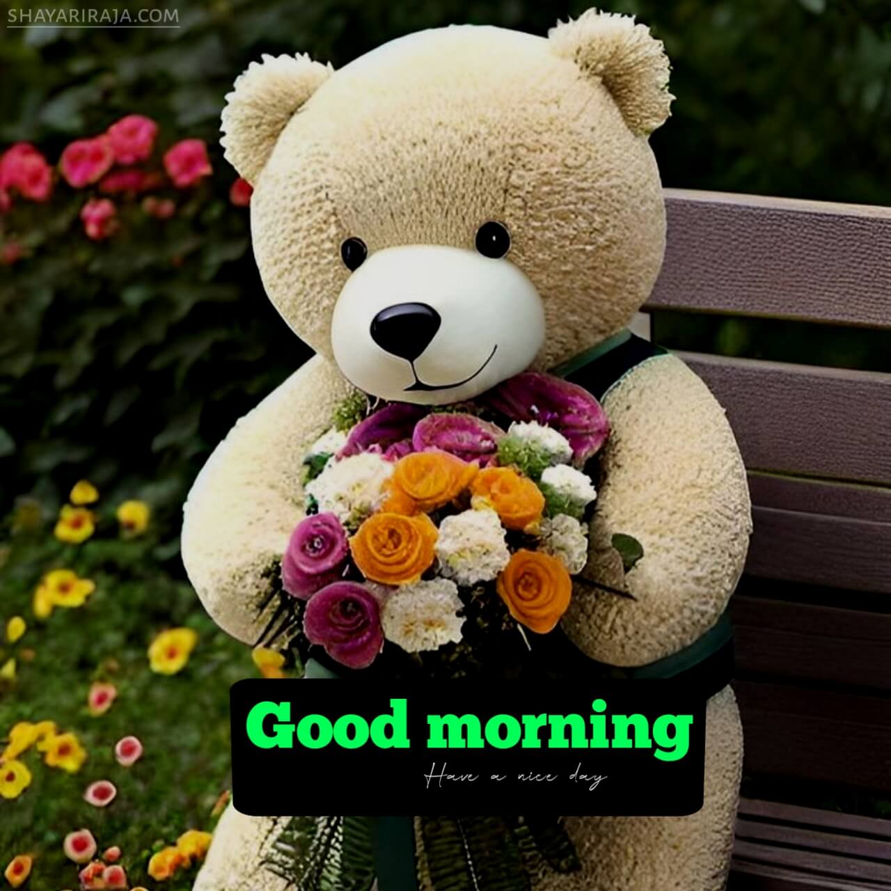 New Good Morning Images | Quotes & Wishes