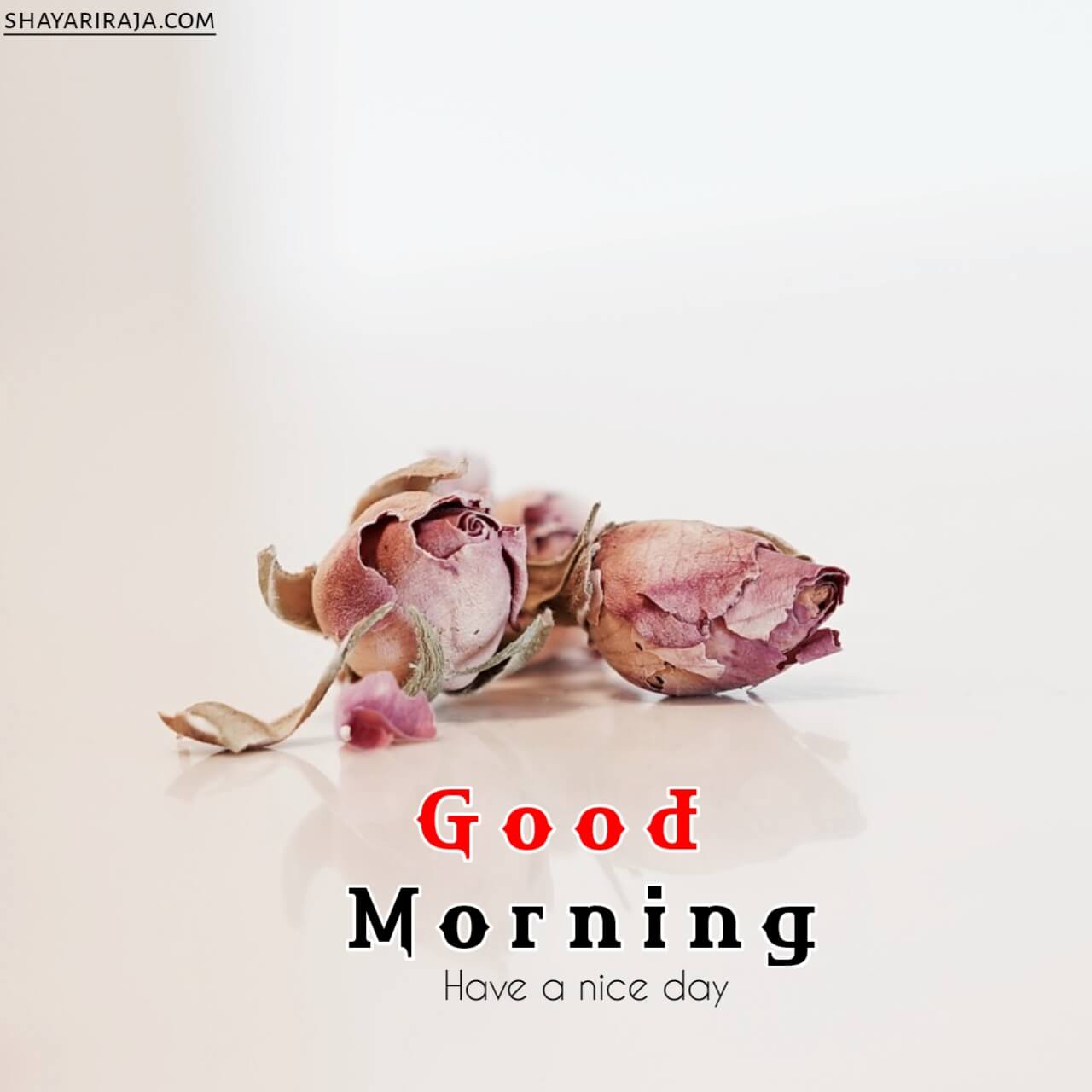 New Good Morning Images | Quotes & Wishes