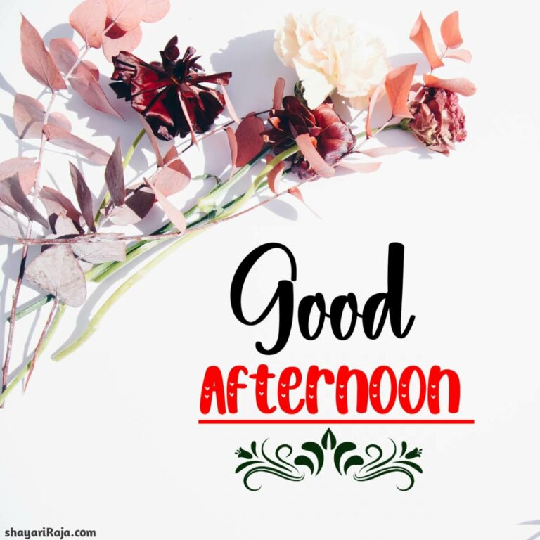 101+ Best Good Afternoon Images, Photos, Quotes - 2024