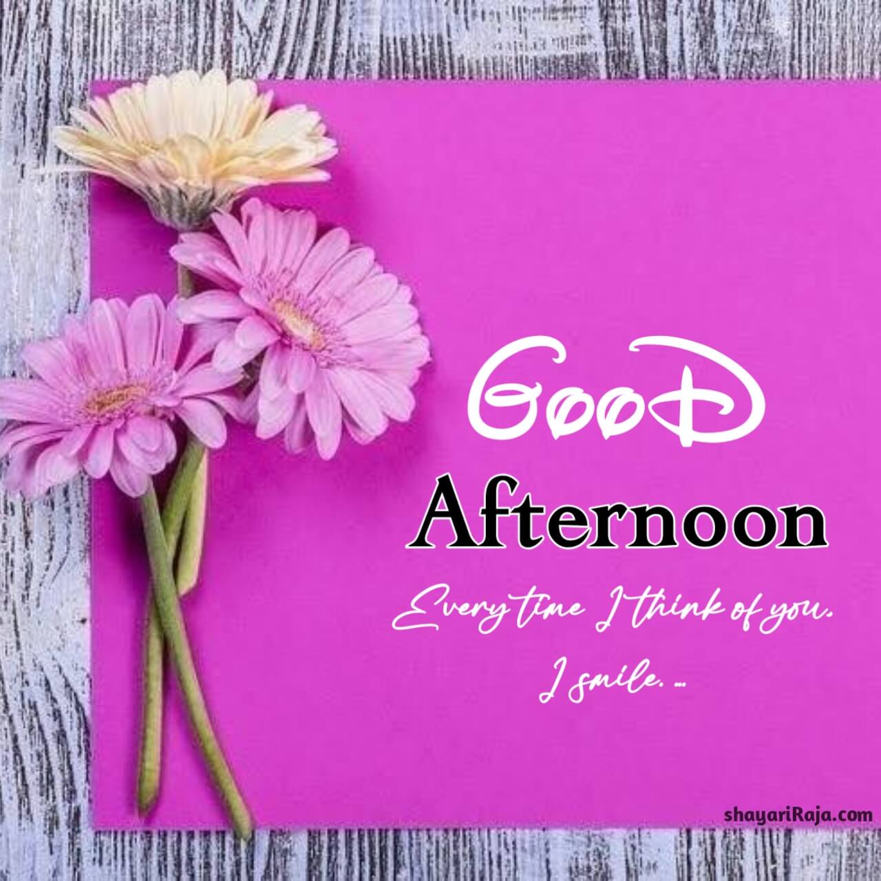 101+ Best Good Afternoon Images, Photos, Quotes - 2024