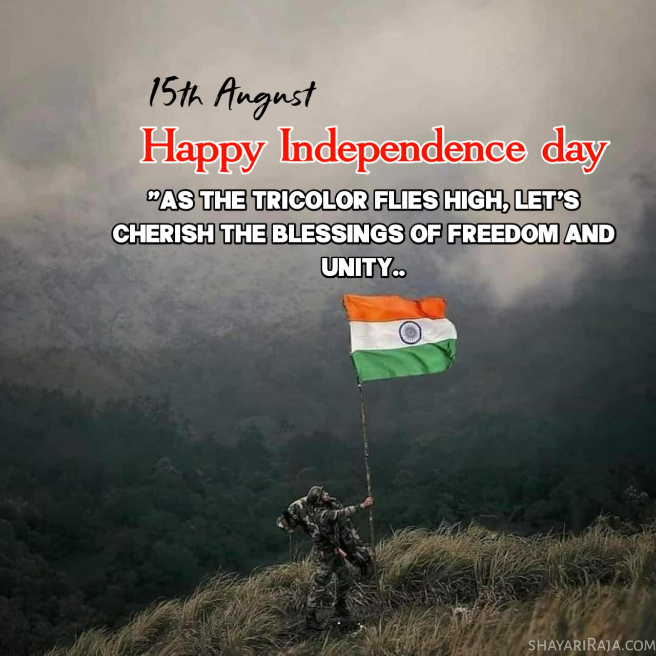 25+ Best Independence day quotes 2024